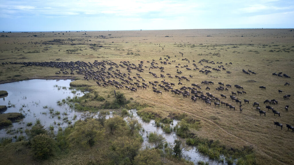 The Master Plan: Paving The Way For A Sustainable Maasai Mara – The ...