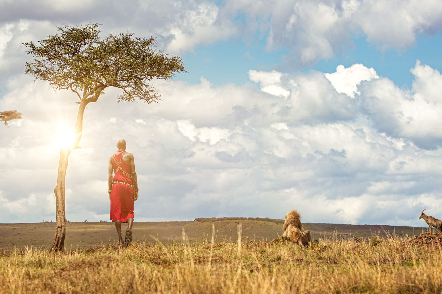 Media center - Newsroom - The Maasai Mara Wildlife Conservancies ...