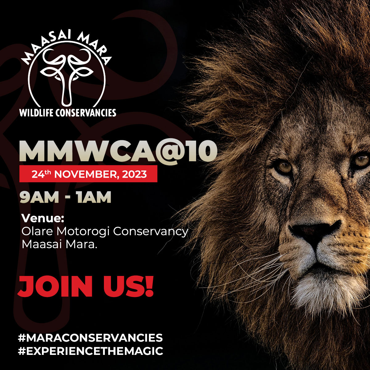 About Us – The Maasai Mara Wildlife Conservancies Association